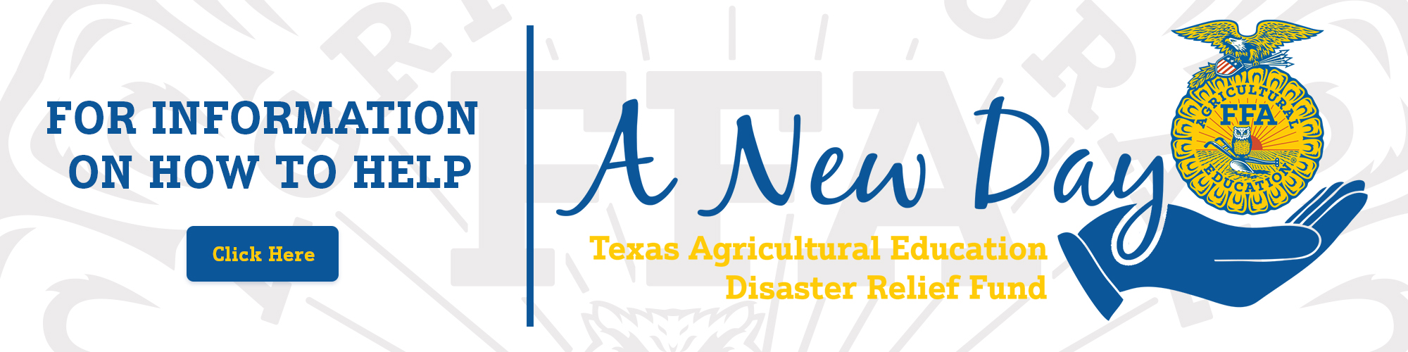 Texas FFA Association