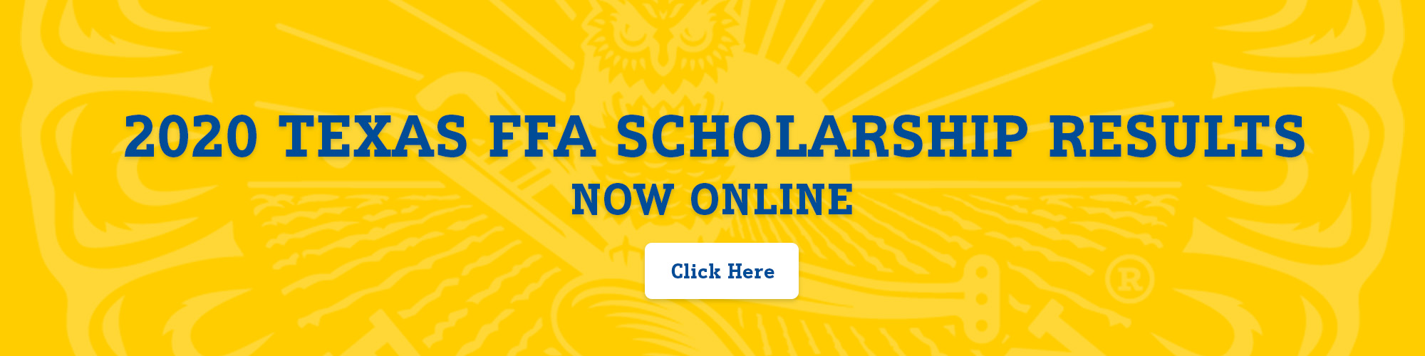 Texas FFA Association