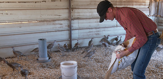 Texas FFA News - Slaton FFA Member Honored as One of the Top ...